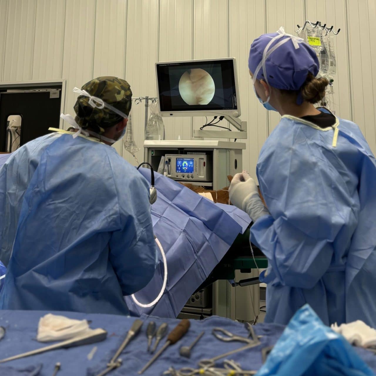 Equine Surgical Center at ThorSport Farm - Murfreesboro, TN