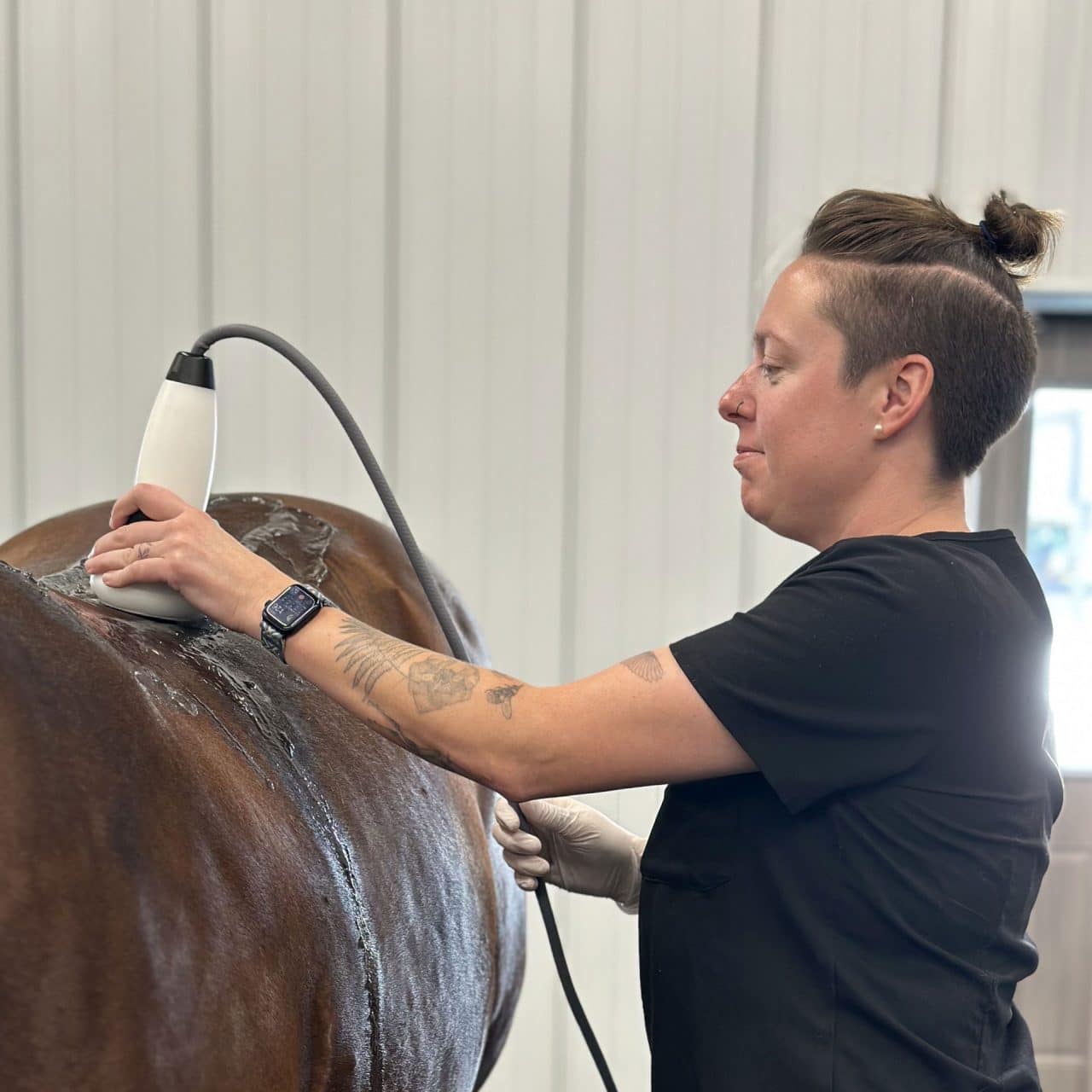 Equine Surgical Center at ThorSport Farm - Murfreesboro, TN