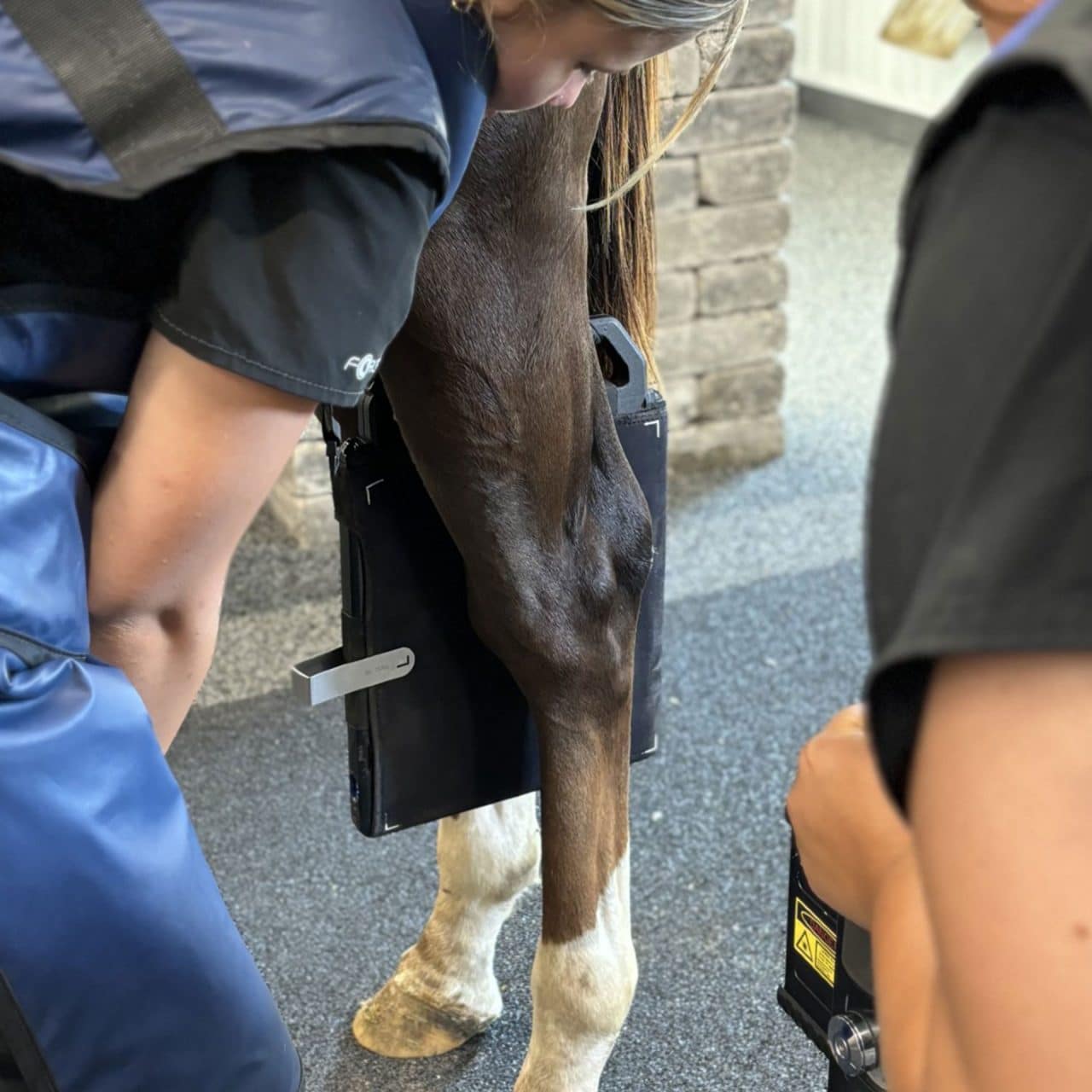Equine Surgical Center at ThorSport Farm - Murfreesboro, TN
