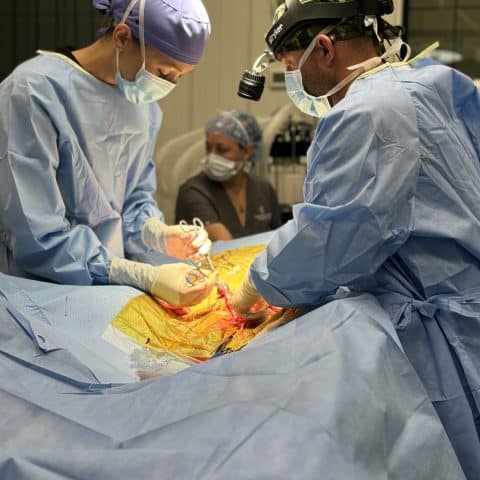 Equine Surgical Center at ThorSport Farm - Murfreesboro, TN